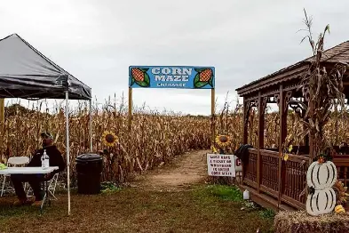 Farms reinvent themselves for a new generation - PressReader