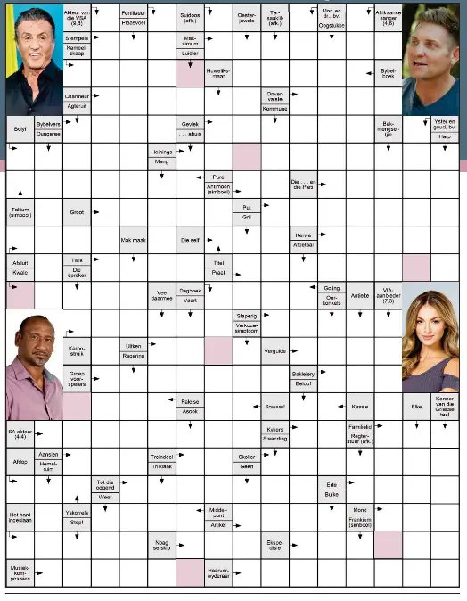 STER BLOKRAAI - PressReader