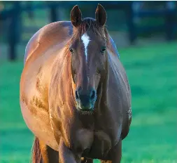 When every second counts - PressReader