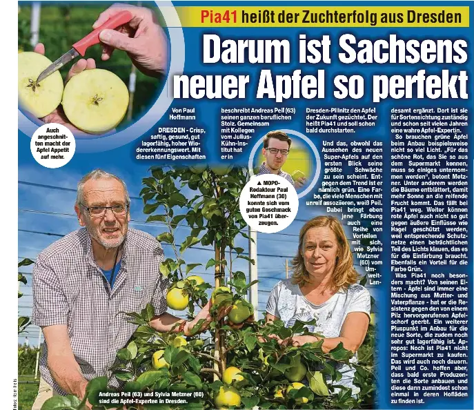 Darum ist Sachsens neuer Apfel so perfekt - PressReader