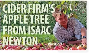 CIDER FIRM’S APPLE TREE FROM ISAAC NEWTON - PressReader