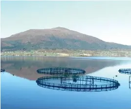 Nordic Halibut achieving record prices - PressReader