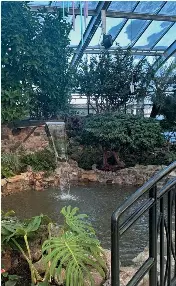 Centennial Botanical Conservato­ry Undergoes Renovation and Expansion ...