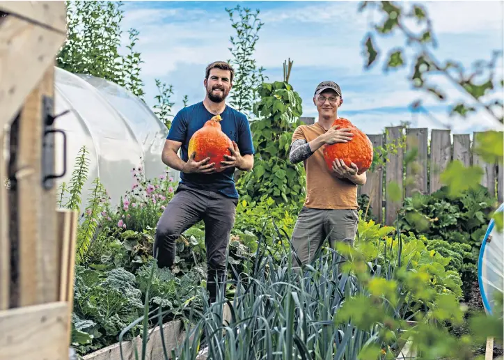 How to grow your own fruit and veg in a small family garden - PressReader