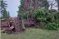 Storm Éowyn damages historic landmarks and trees - PressReader