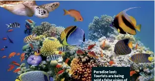 CALL OF THE REEF - PressReader