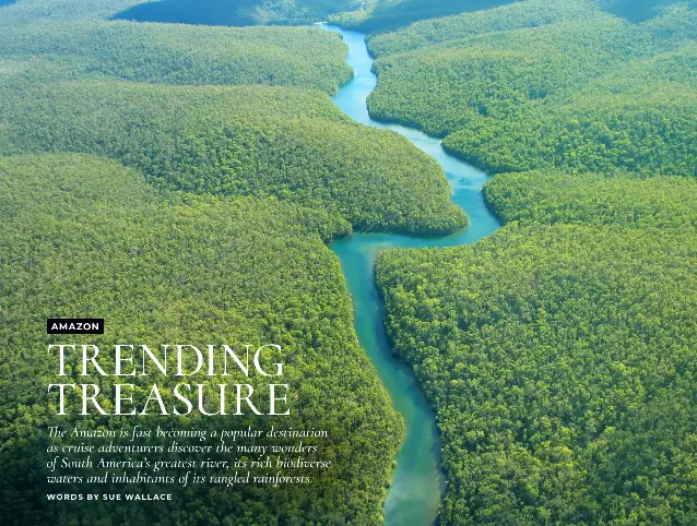 TRENDING TREASURE - PressReader