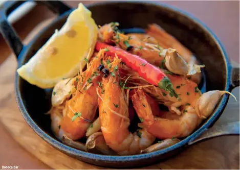 CARVOEIRO AREA - PressReader