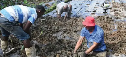 FARMING BEYOND LIMITS: DOBUI’S INSPIRING JOURNEY FROM TRAGEDY TO TRIUMPH - PressReader