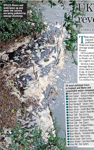 UK’S 20 most polluted rivers revealed in new league table - PressReader