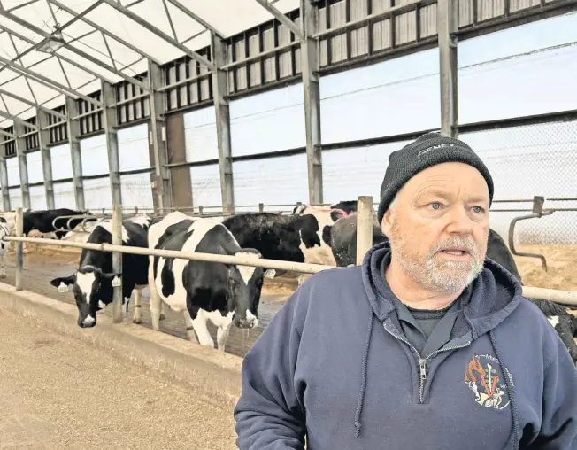 Kollaps im Kuhstall - PressReader