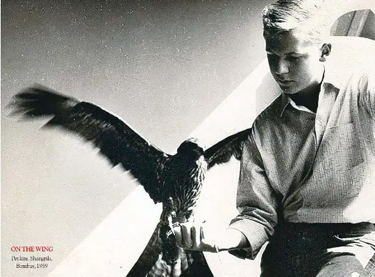 A TRIP TO REMEMBER - PressReader