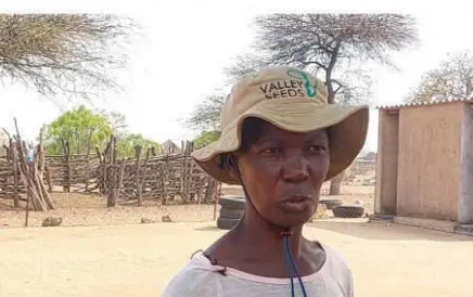 From dependence to independen­ce: GCF farmer field schools address ...