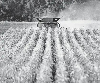 ‘It defies logic’ - PressReader