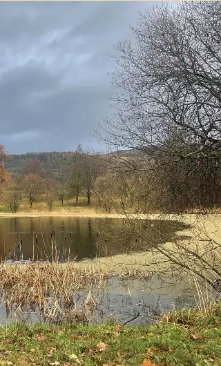 Tribunal judgment must spark workplace change - PressReader