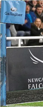 CODLING CONFIDENT FALCONS CAN FLY - PressReader