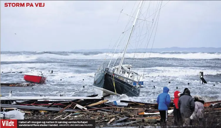 Vildt DAGMAR OG HENDES LILLEBROR SLÅR TIL - PressReader