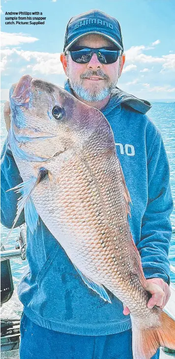 Good-sized fish being snapped up - PressReader