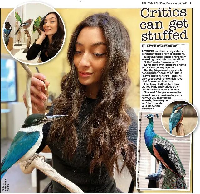 Critics can get stuffed - PressReader