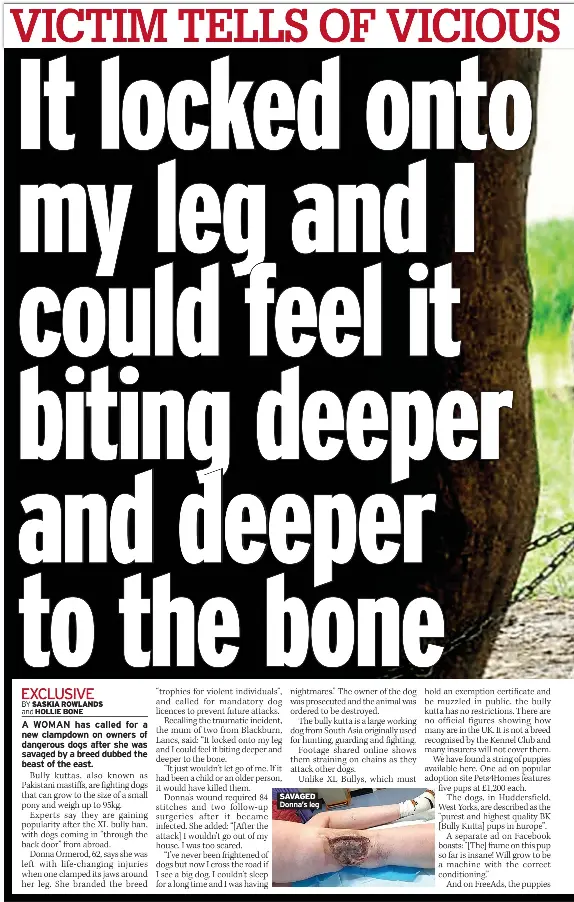 It locked onto my leg and I could feel it biting deeper and deeper to the bone - PressReader