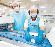 Sealord worker shortages to gut hoki season of $5m - PressReader