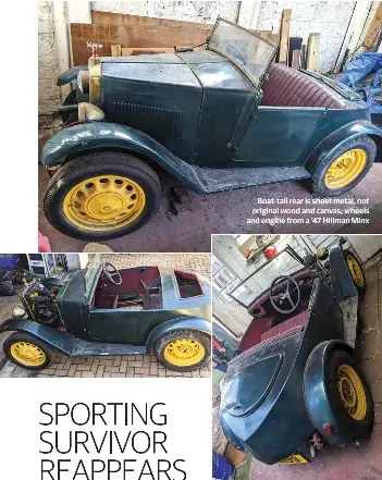 SPORTING SURVIVOR REAPPEARS - PressReader