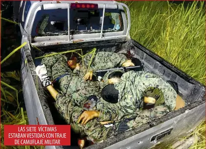 ‘CARGAMENTO’ DE TERROR - PressReader