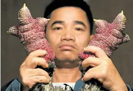 GIANT LEGS OF VIETNAM ‘DRAGON CHICKEN’ A LUNAR NEW YEAR DELICACY ...