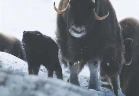 UP CLOSE & PERSONAL - PressReader