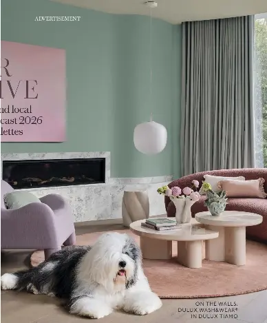 COLOUR COLLECTIVE - PressReader