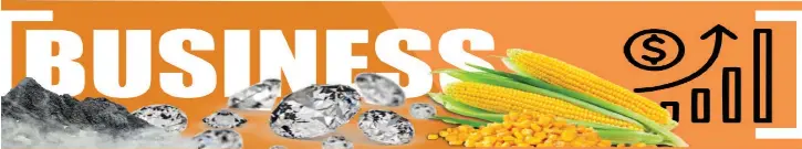 Farmers reap rewards as sesame outshines cotton - PressReader