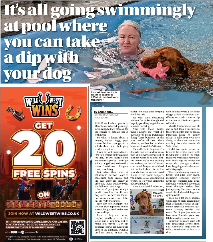 It’s all going swimmingly at pool where you can take a dip with your dog - PressReader