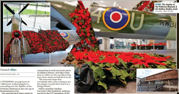 ‘The poppy and the Spitfire are icons that immediatel­y bring to mind ...