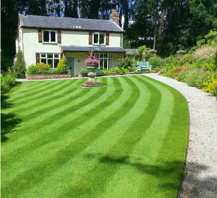 Grow a healthier lawn - PressReader