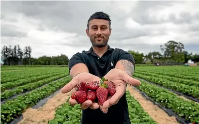 HERE'S TO A VERY BERRY CHRISTMAS - PressReader