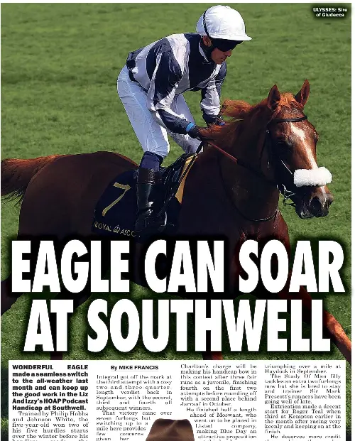 EAGLE CAN SOAR AT SOUTHWELL - PressReader