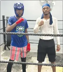 Teremoto boxing stable aims for dominance - PressReader