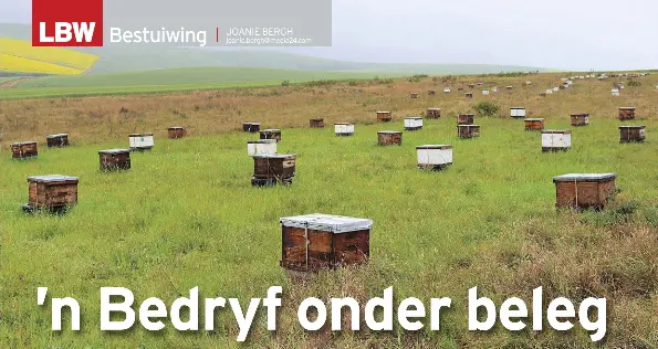 Byeboere se stryd teen tyd: ‘Help ons, veral met bloekoms’ - PressReader