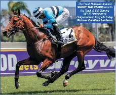 Hold on to Shoot The Rapids - PressReader