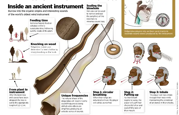 The strange sound of didgeridoo­s - PressReader