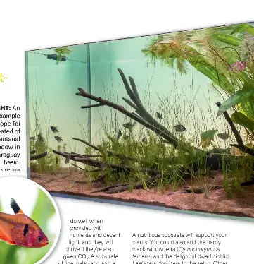 Are there any plantheavy biotopes? - PressReader