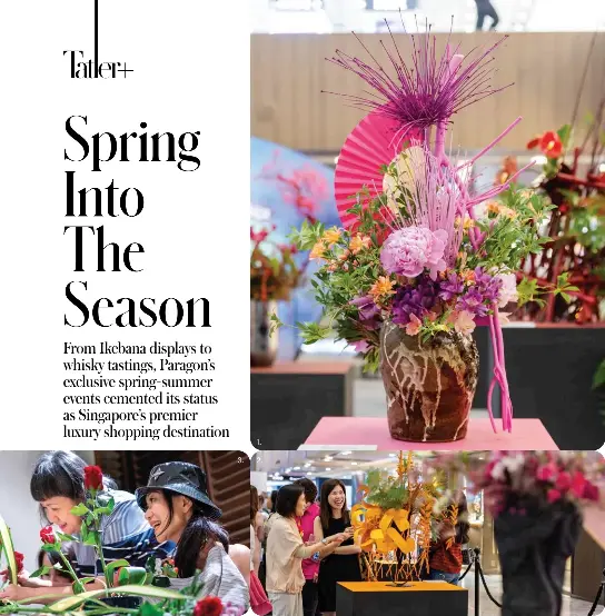 Spring Into The Season - PressReader