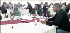 let’s tinkhundla­rise Microproje­cts – MP Madala Mhlanga - PressReader