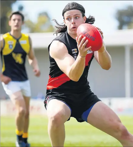 Blues aim to end drought - PressReader