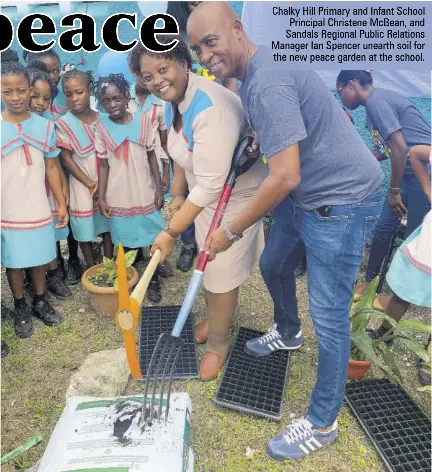 Cultivatin­g peace - PressReader