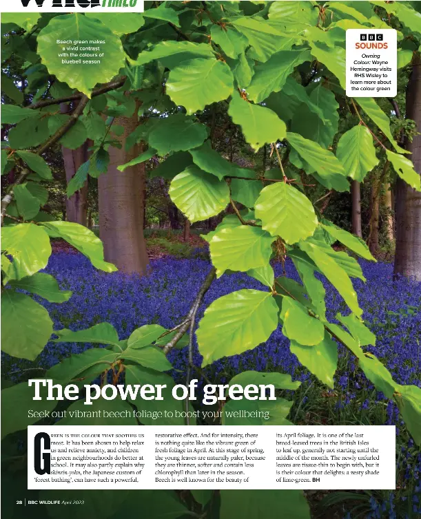 The power of green - PressReader
