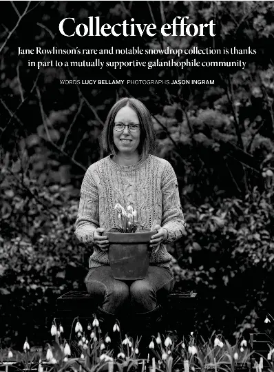 Collective effort - PressReader