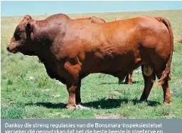 Net die beste danksy dié inspeksies­telsel - PressReader