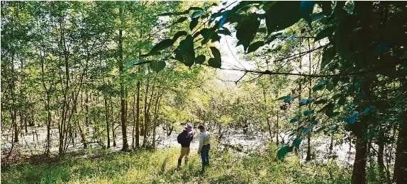 Survey says ... | The Indianapol­is Star | PressReade­r