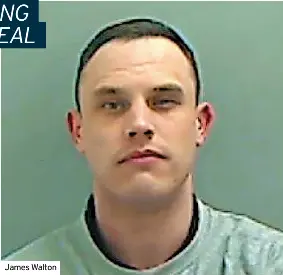 Rapist made victim clean up her blood - PressReader